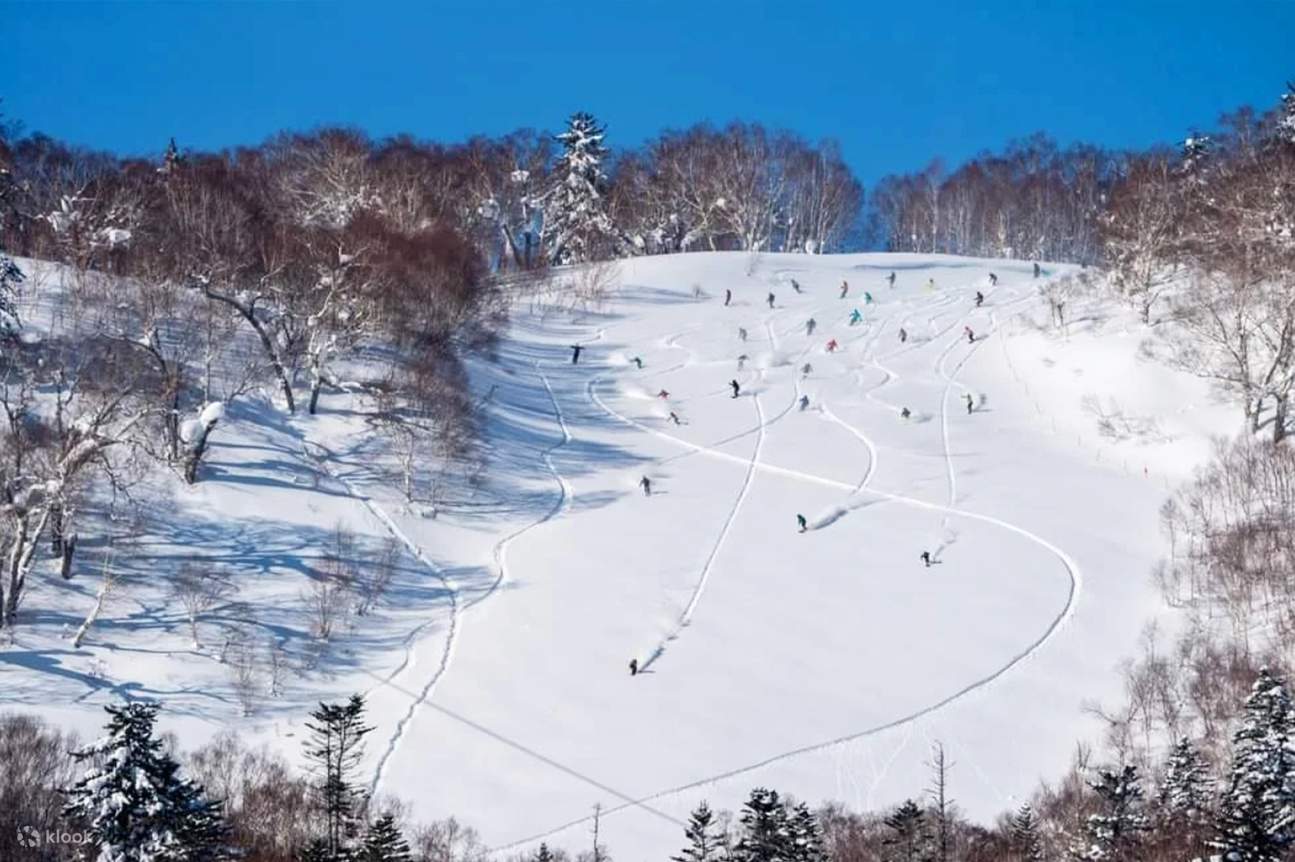 Hokkaido Sapporo Otaru Sightseeing Sapporo Kokusai Ski Resort/Snow ...