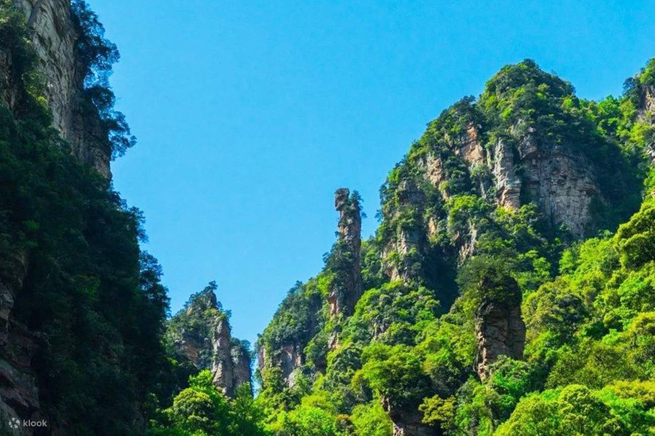 Zhangjiajie National Forest Park Tianmen Mountain Grand Canyon 3-day ...