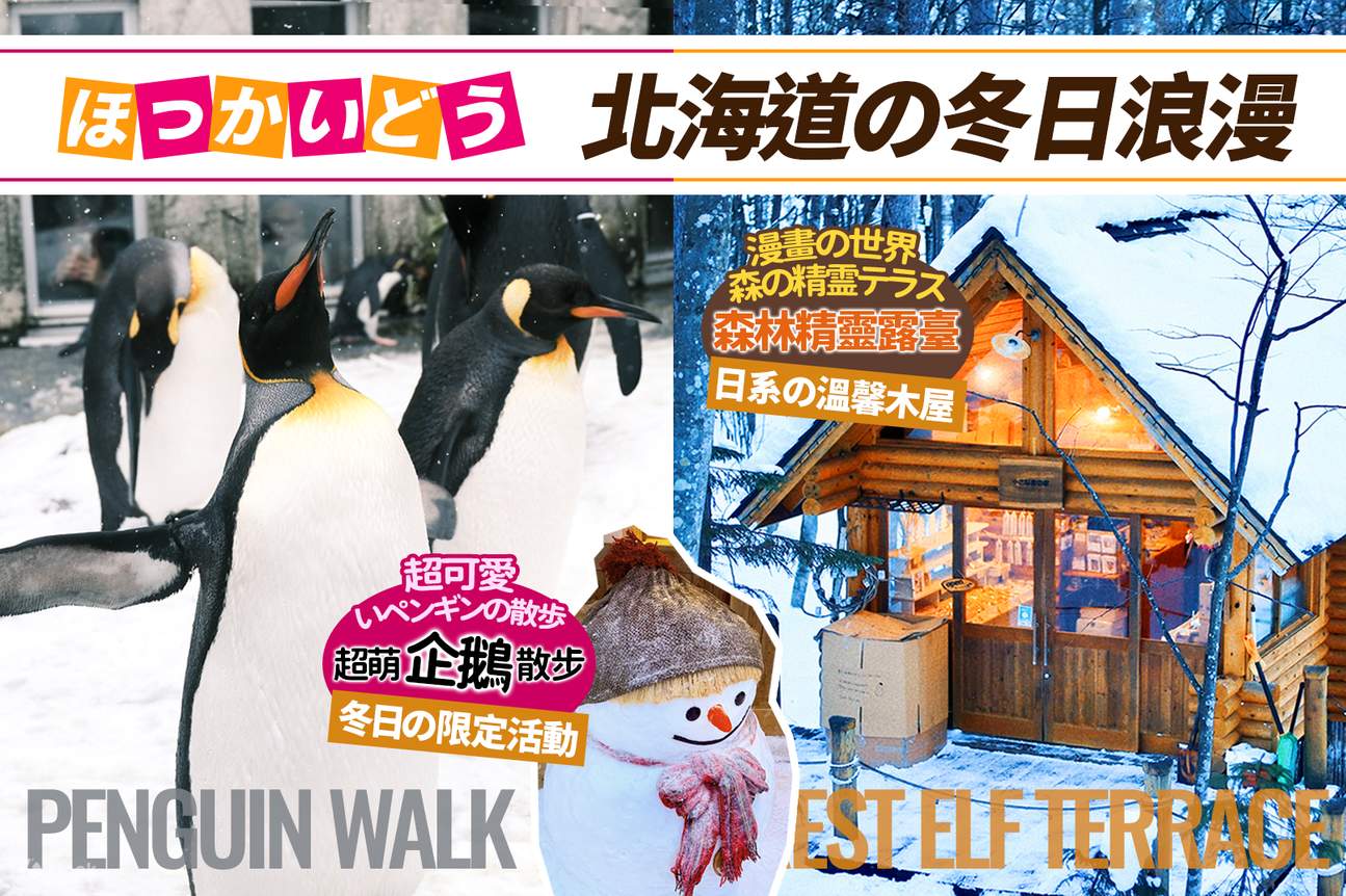 Hokkaido Winter Full-Day Tour | Penguin Walk, Platinum Blue Pond ...