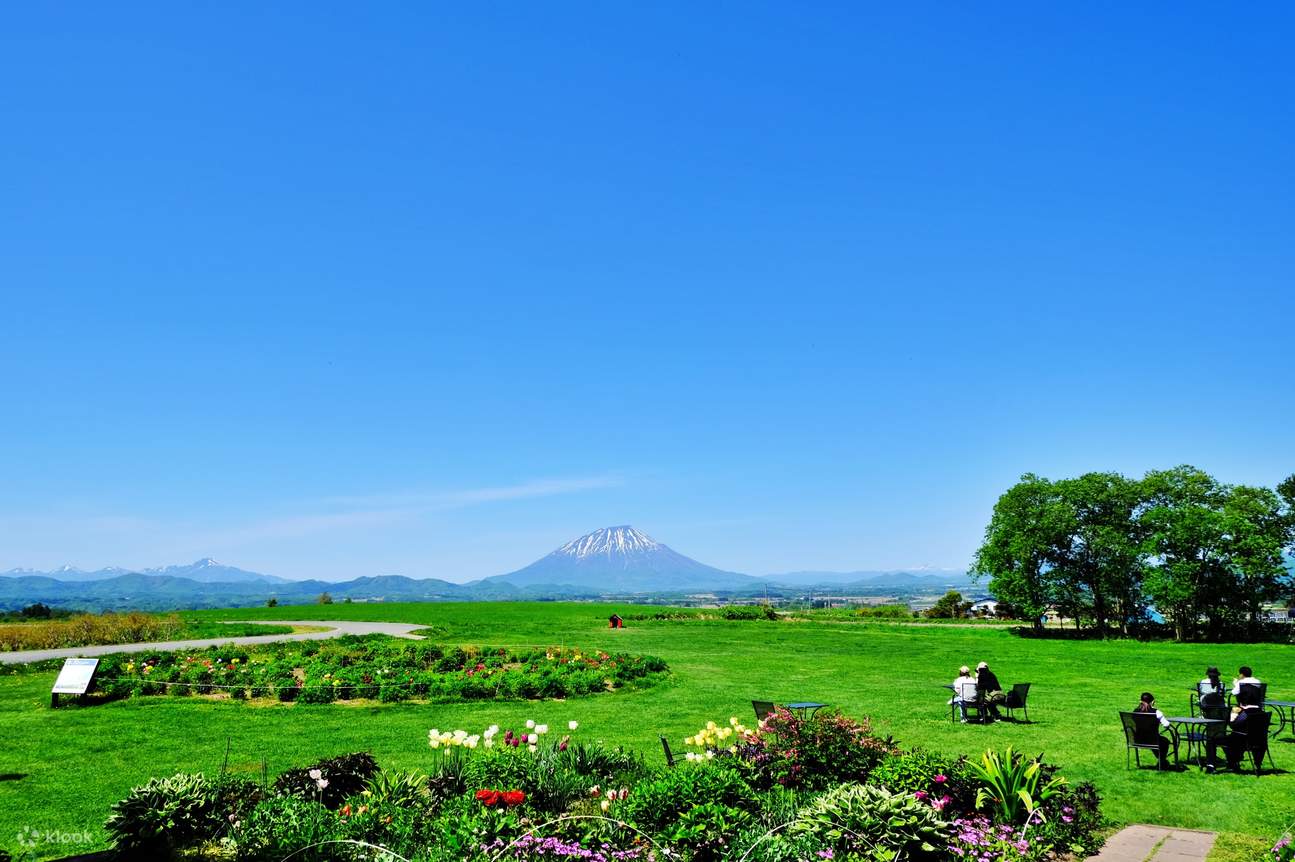 Departing from Sapporo｜Niseko Lake Toya cherry blossom viewing and ...