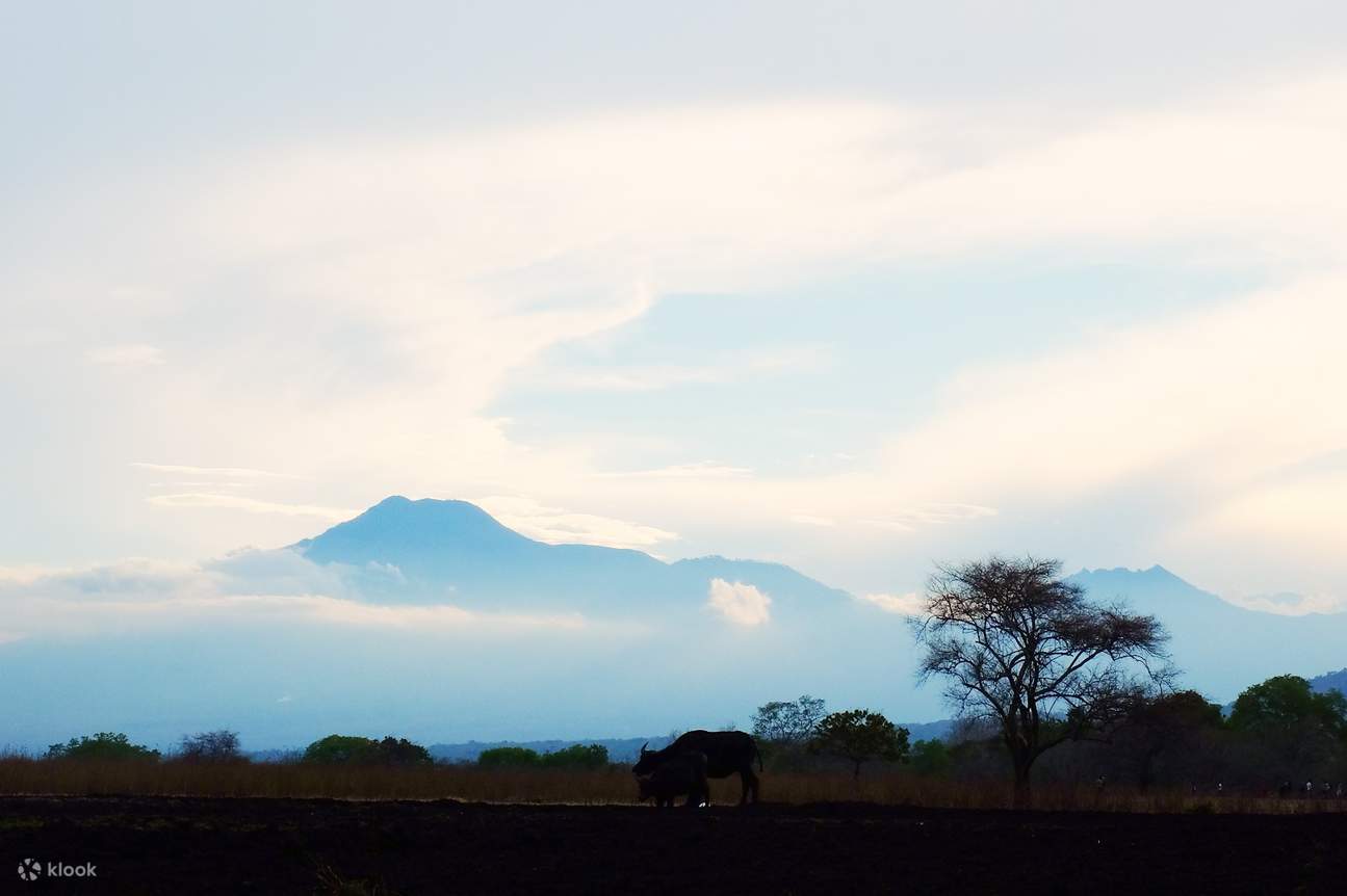 Ijen Crater and Baluran National Park Tour - Klook, Vereinigte Staaten