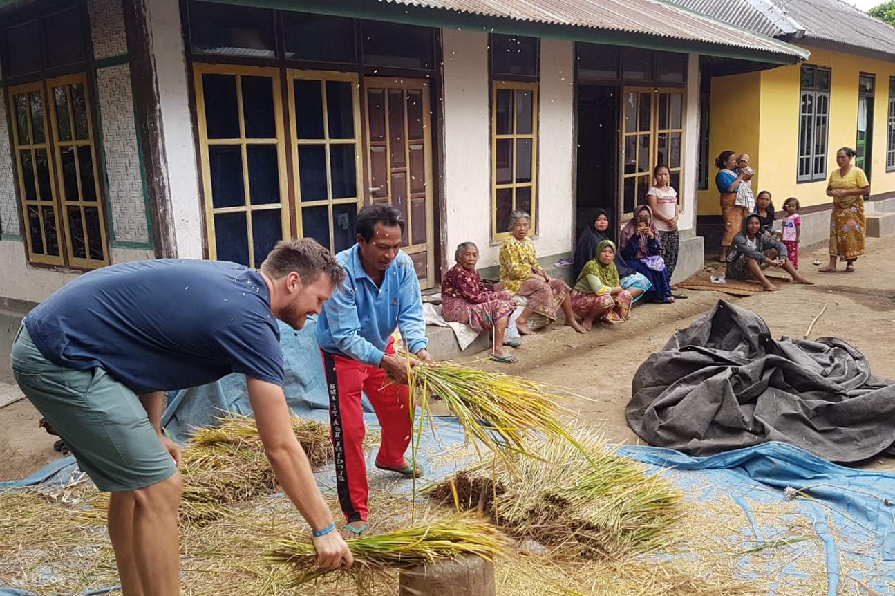 Tetebatu Village and Rice Field Private Tour in Lombok - Klook