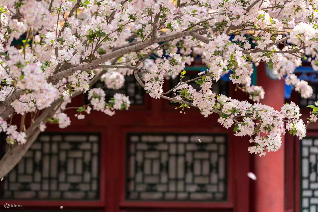 Beijing Prince Gong's Mansion & Lama Temple Double Scenic One-Day Tour ...