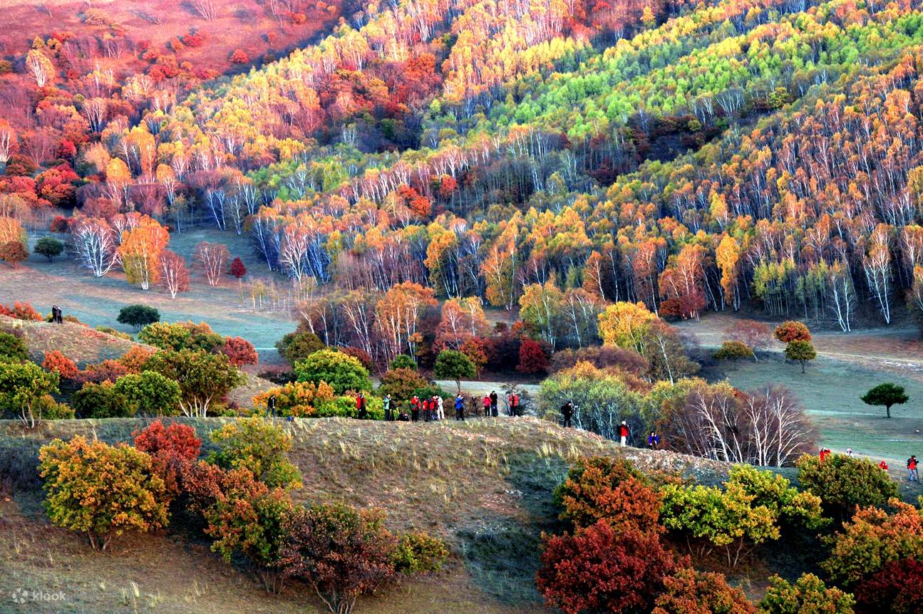 3-Day Ulan Butong Grassland Tour in Inner Mongolia (Round Trip from Beijing + 2-6 Person Group ...