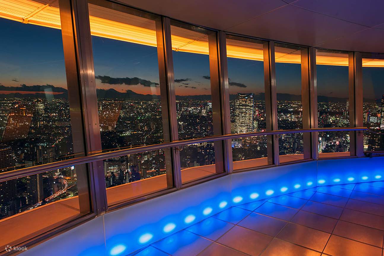 Tokyo Night Electric Bike Tour with Tokyo Tower and Dolphin Show ...