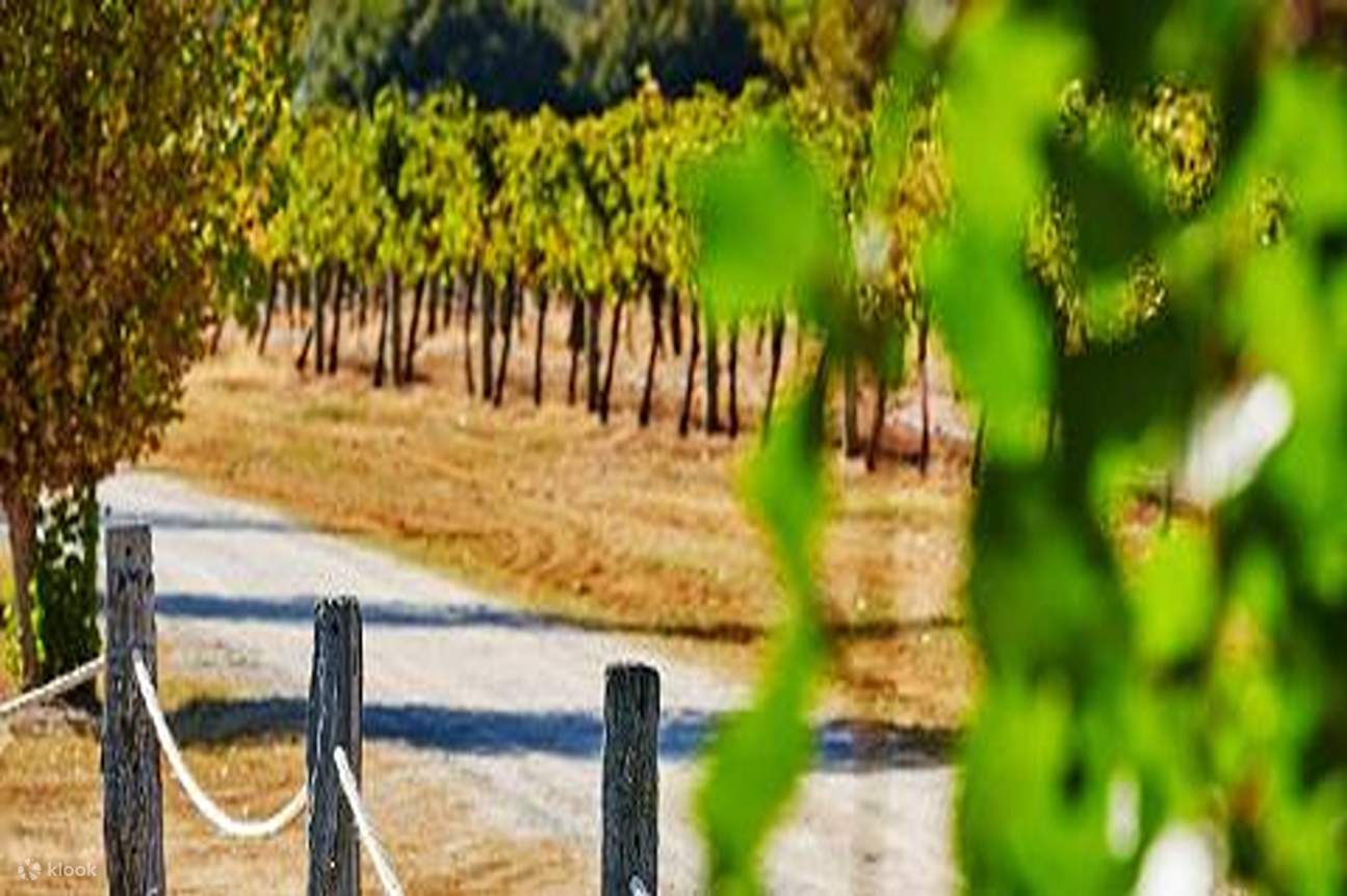 Pinnacles & Swan Valley Day Tour in Perth Bus Tour - Klook Malaysia