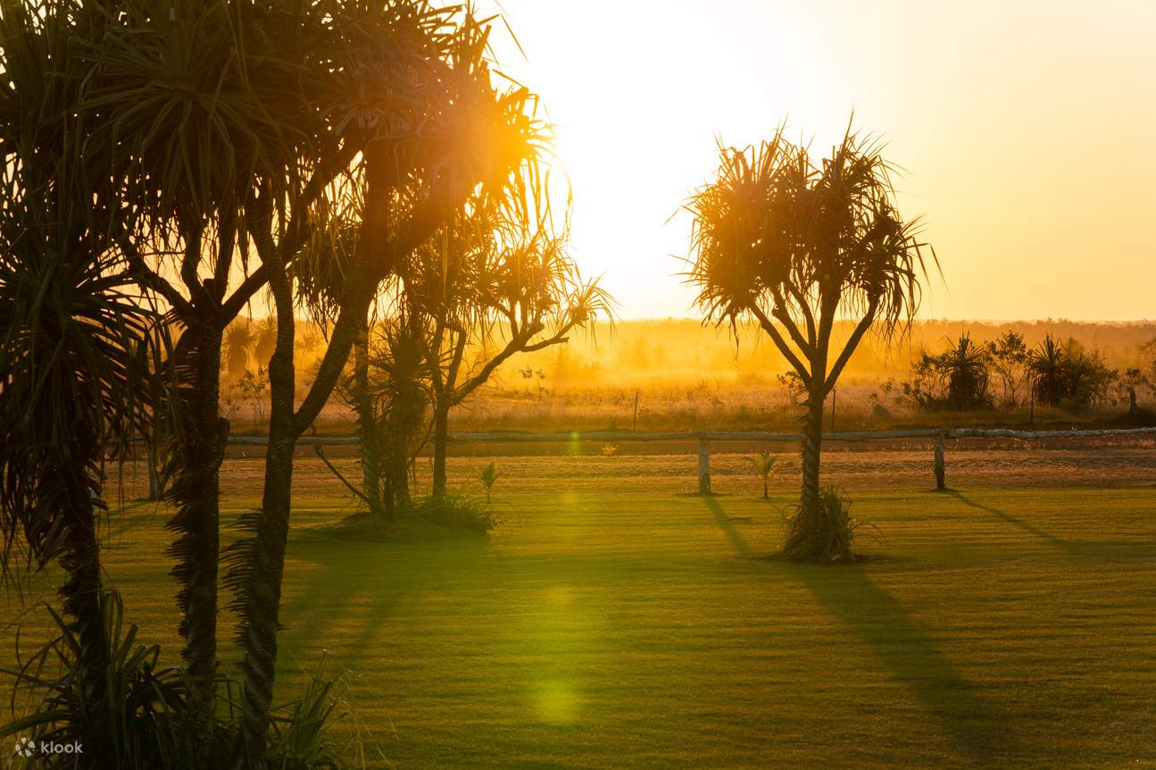 2 Day Ultimate Safari Experience with Luxury Glamping from Darwin Boat ...