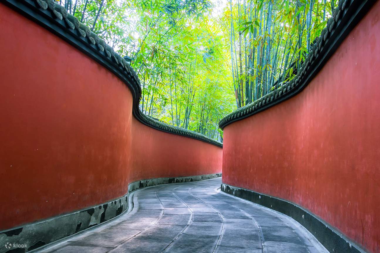 Città di Chengdu: Base del Panda Gigante + Tempio di Wuhou + Antica ...