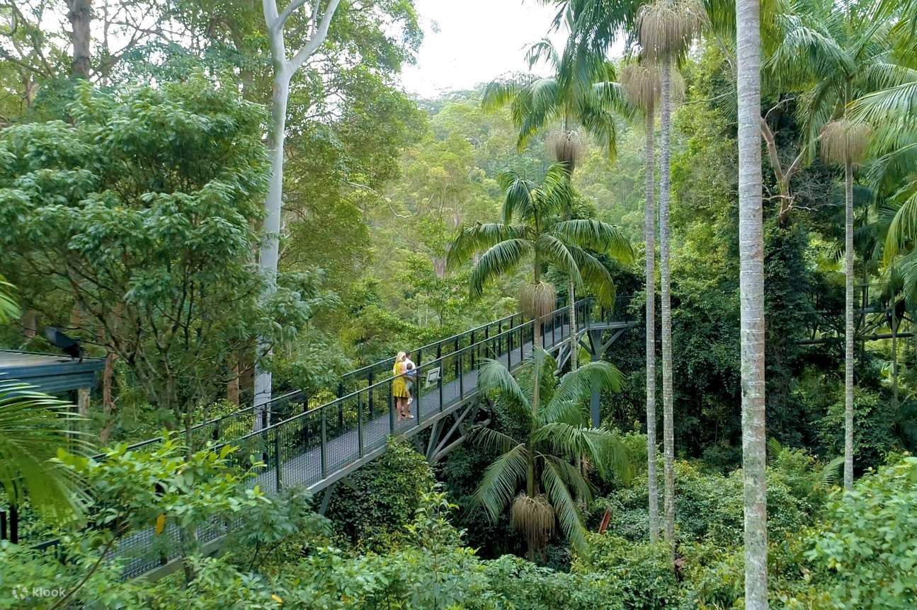 Gold Coast Hinterland Explorer Day Pass - Klook