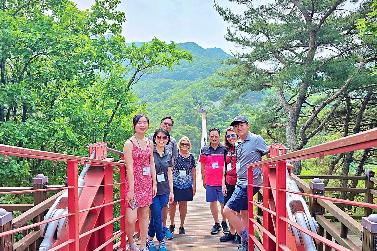 DMZ North Korea Experience & Suspension Bridge Tour from Seoul - Klook ...