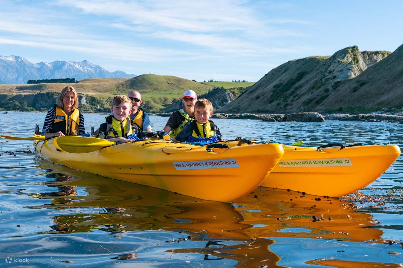 Petualangan Kayak untuk Melihat Anjing Laut di Kaikoura, Selandia Baru ...