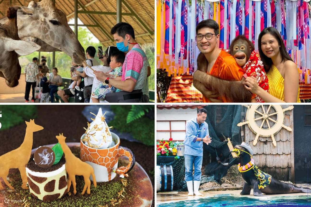 Safari World and Chocolate Ville Day Trip, Thailand - Klook