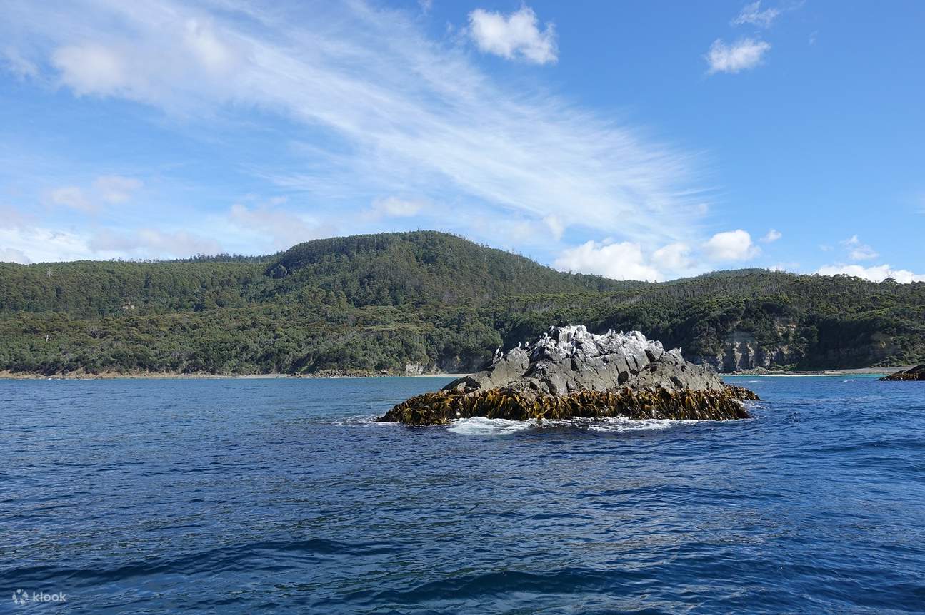 Hobart, The Huon City & Country Adventure Private One Day Walking Tour ...