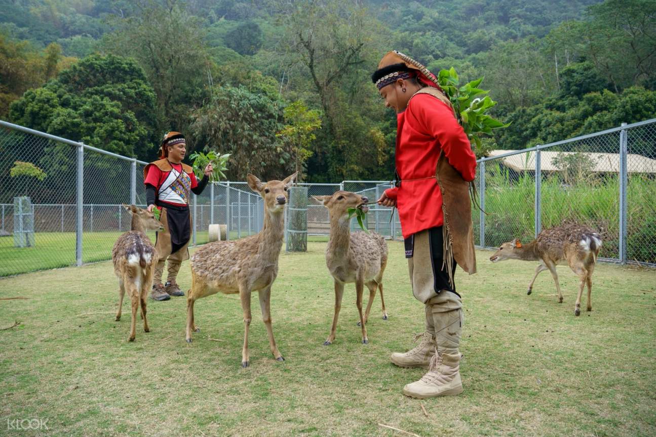 Tsou Veoveoana Tribe Sika Deer Sanctuary Admission Ticket in Chiayi - Klook