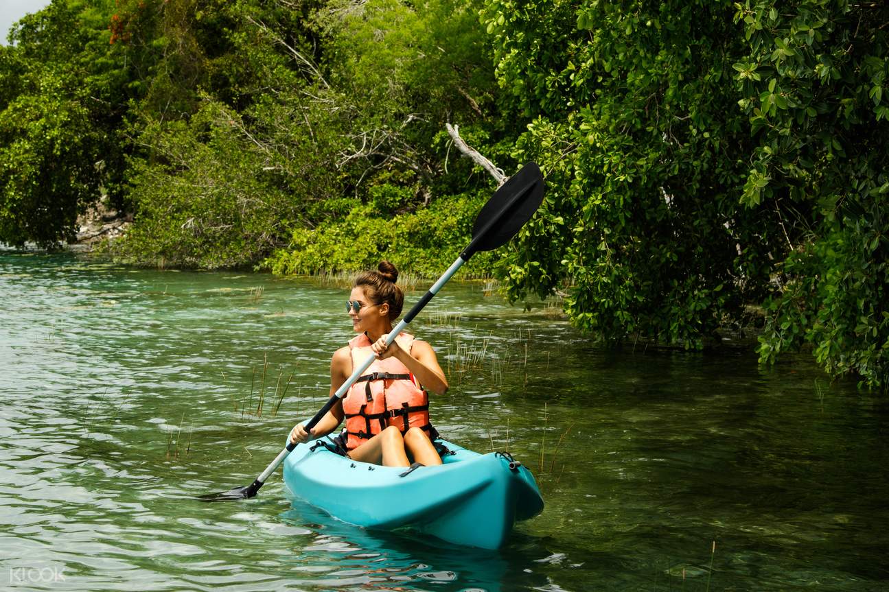 Kubang Badak Mangrove Join-In Kayaking Tour - Langkawi, Malaysia