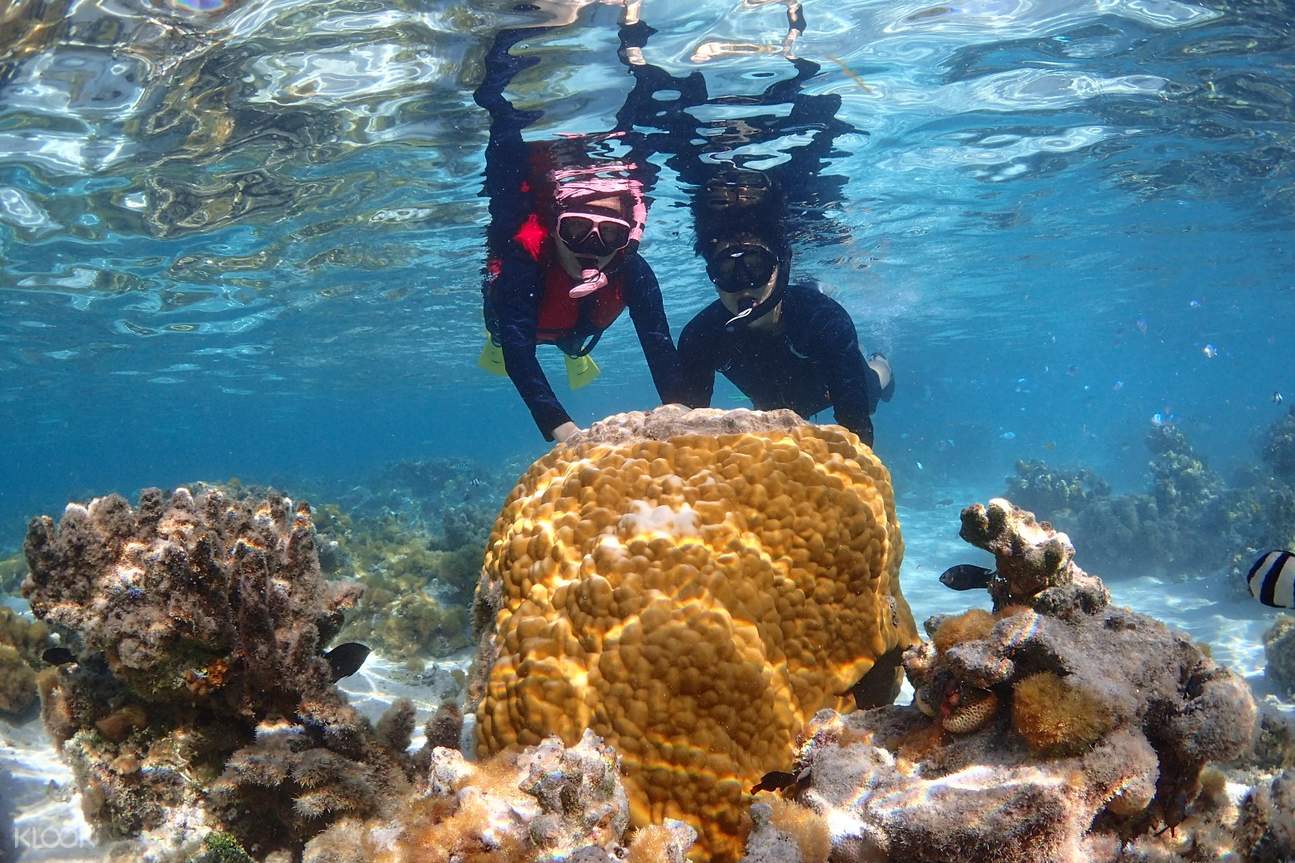 [SALE] Saipan Kayaking & Snorkeling Adventure in Paupau Beach - Ticket KD