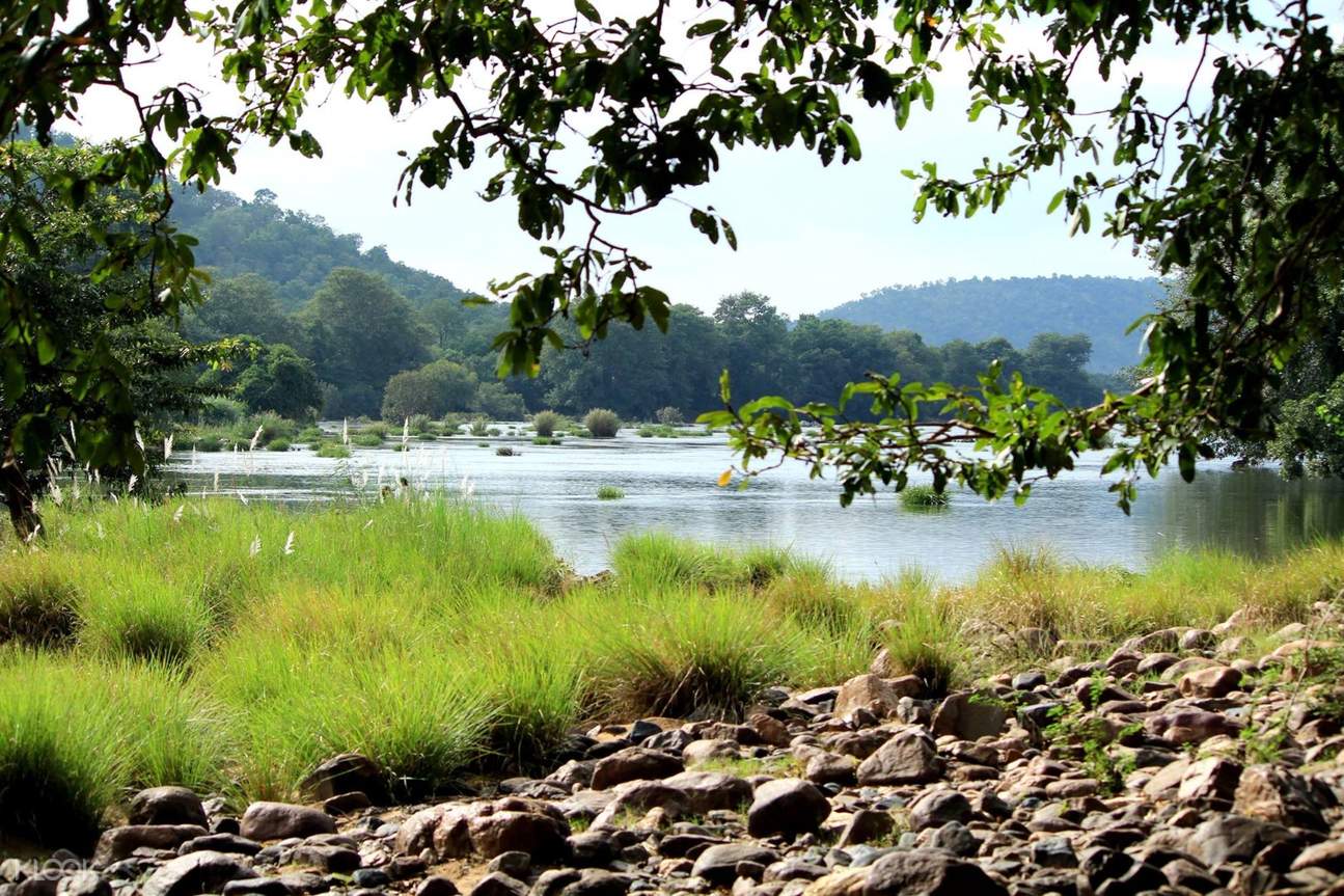 [SALE] Weekend Cycling Tour to Bheemeshwari through Muthathi Forest ...