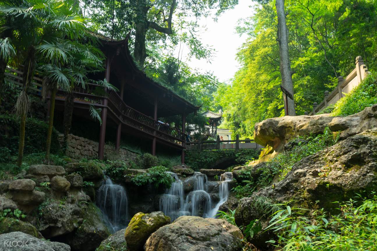 Dujiangyan and Mount Qingcheng Private Day Tour - Chengdu, China