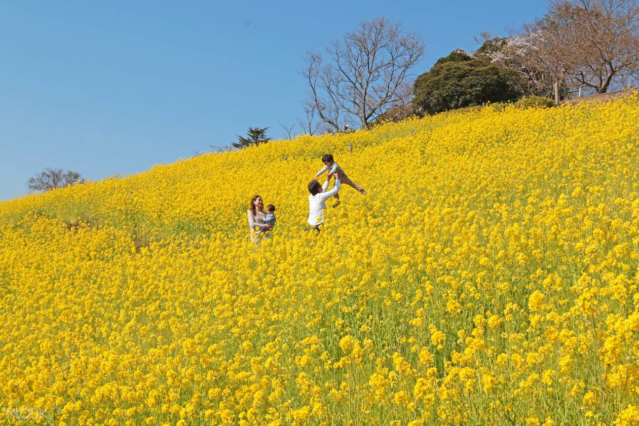 Chiba Mother Farm Ticket Tokyo, Japan