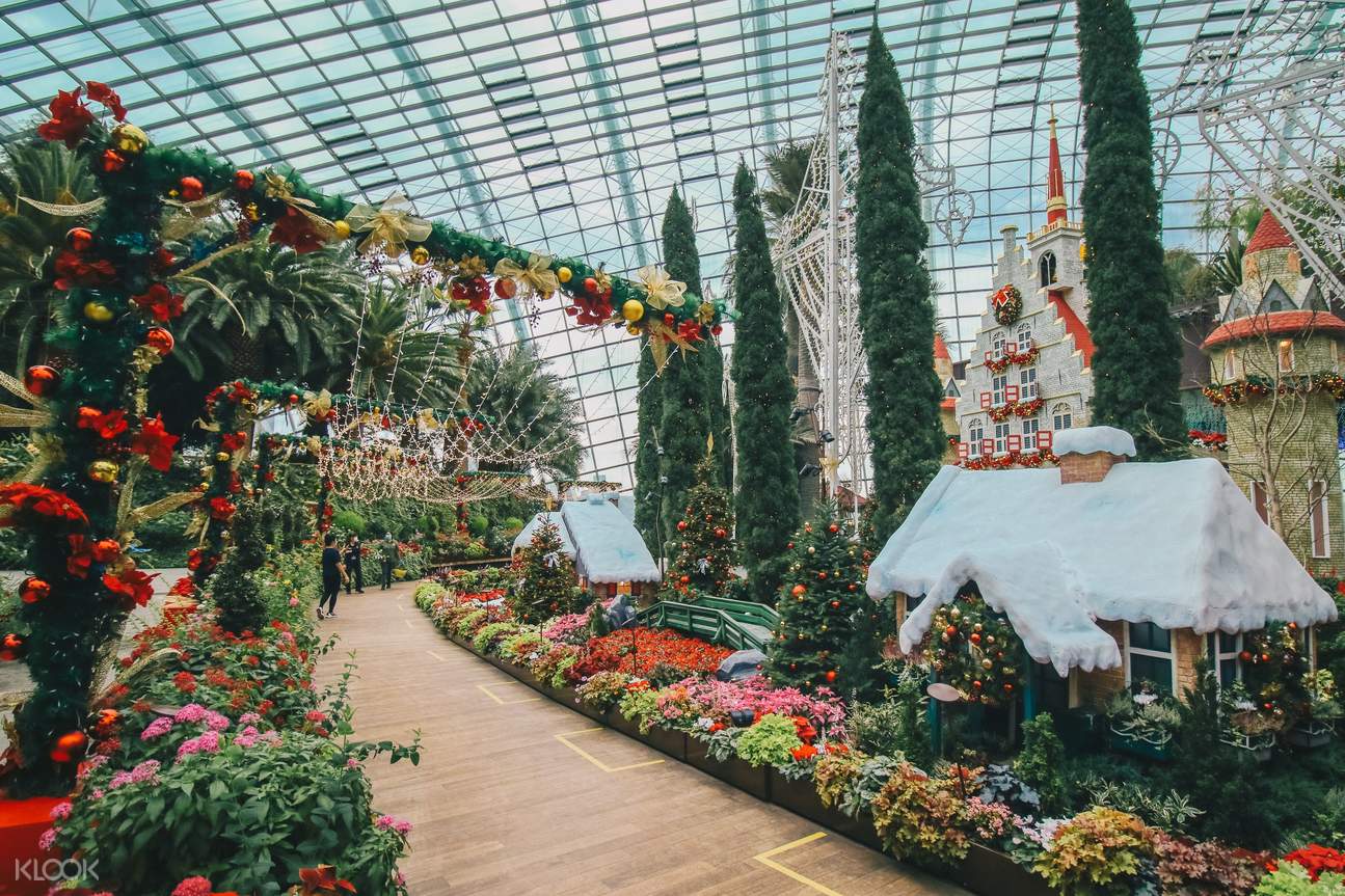 Singapore Gardens by the Bay Tickets (Cloud Forest & Flower Dome)
