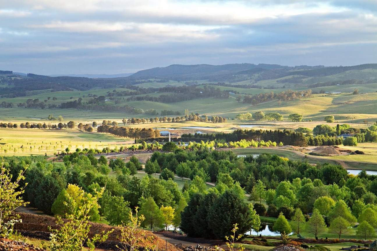 Mayfield Garden Ticket from Sydney, Australia - Klook Australia