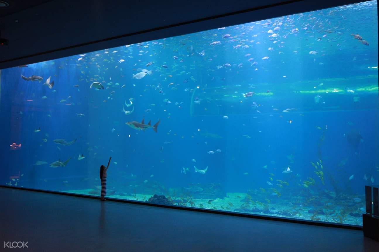 Aqua Planet Jeju