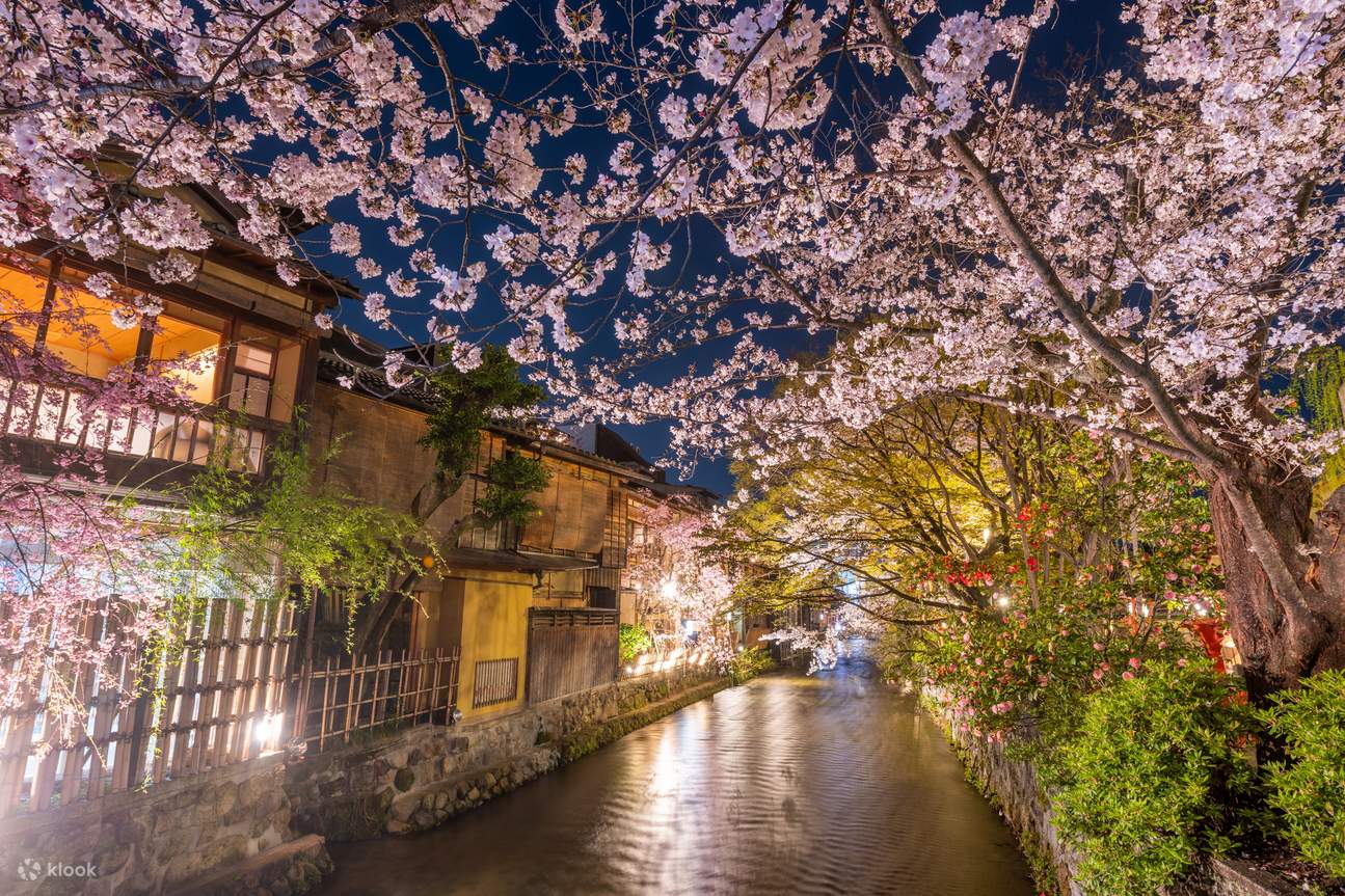 Online Booking for Snapshot Photography Experience (Kyoto) - Klook ...