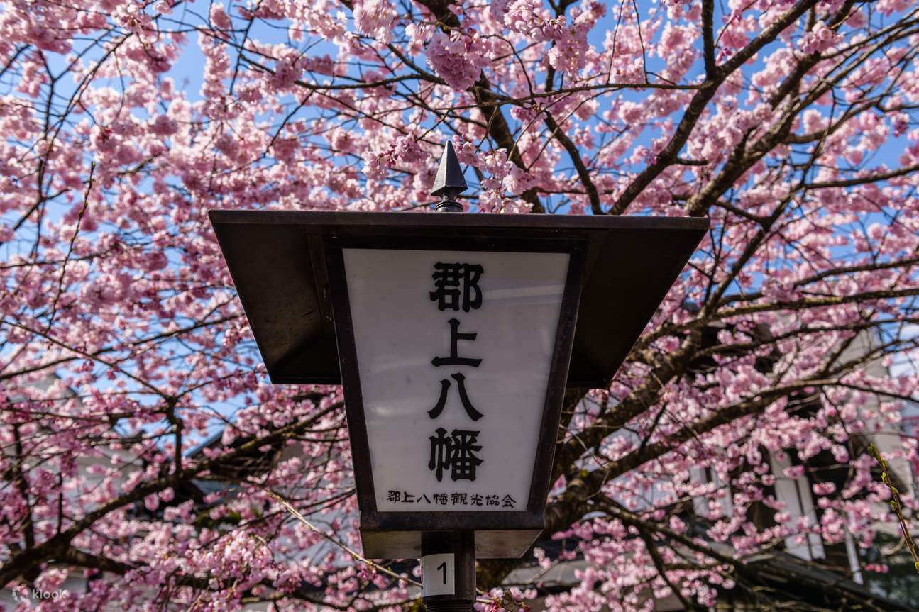 Amazing Sakura 1 Day Tour with Charter Train and Boat from Nagoya ...