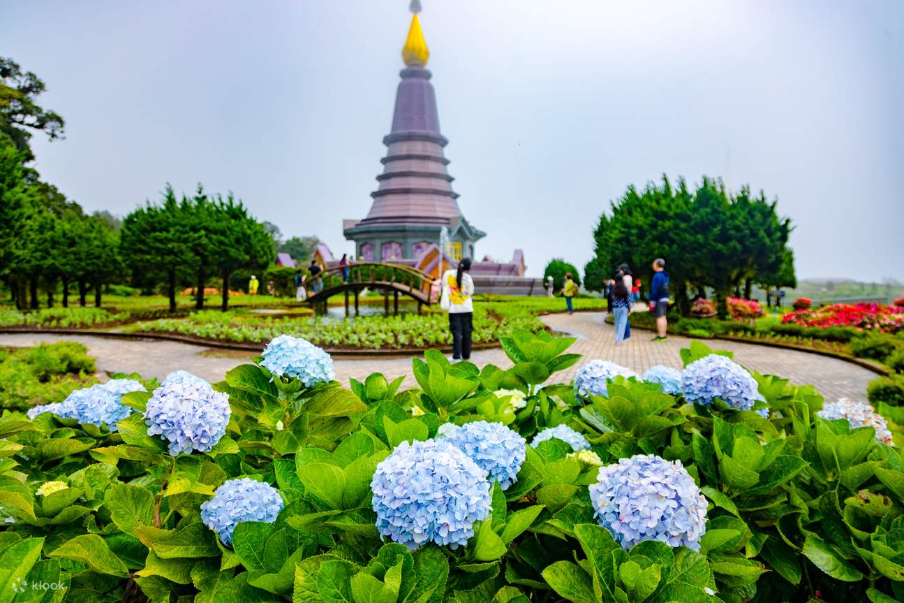 Chiang Mai : Doi Inthanon, Waterfalls, & Tribal Villages Tour - Klook ...