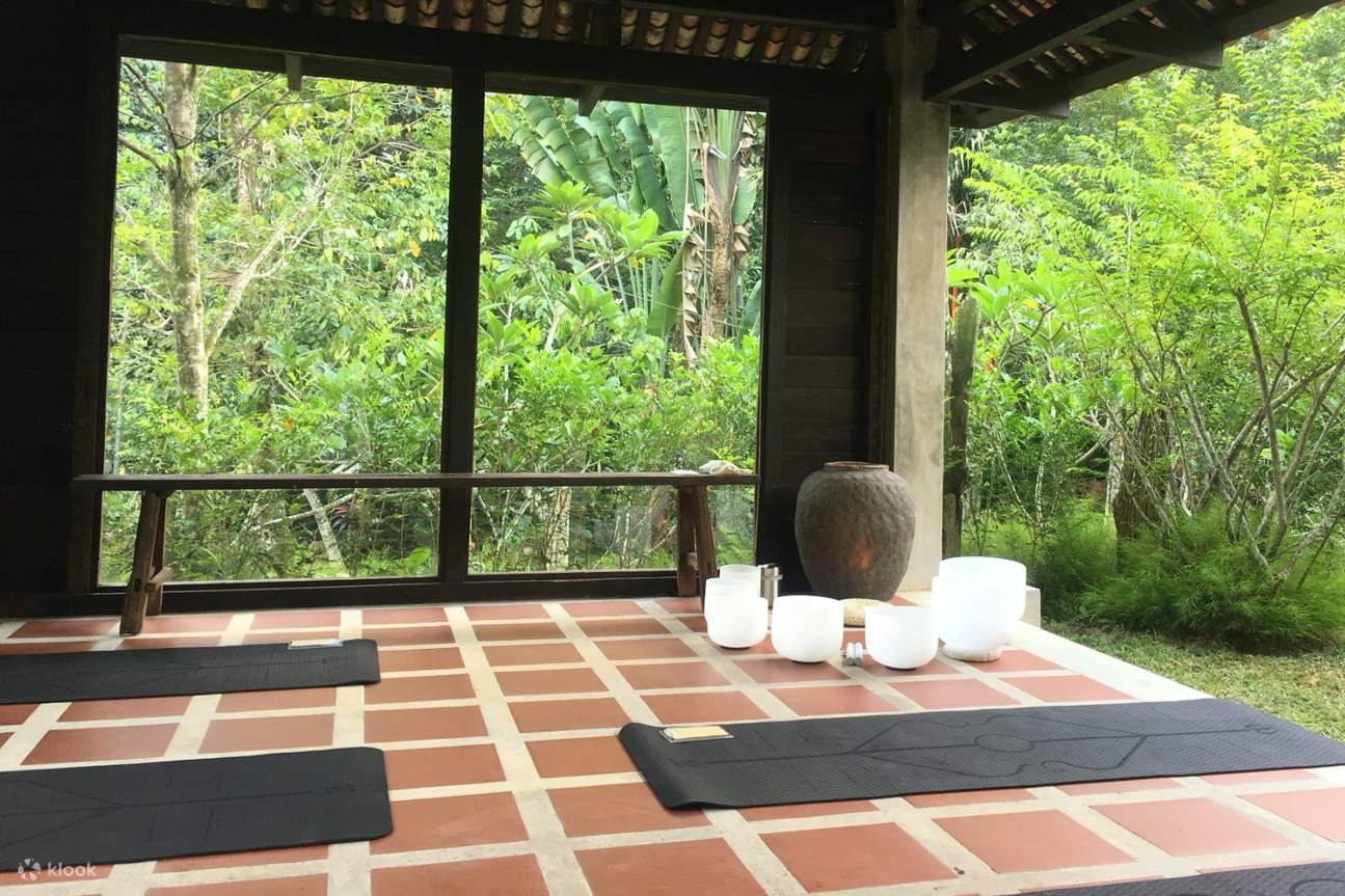 Forest Sound Bath Experience with Guided Fruit Farm Tour in Penang ...