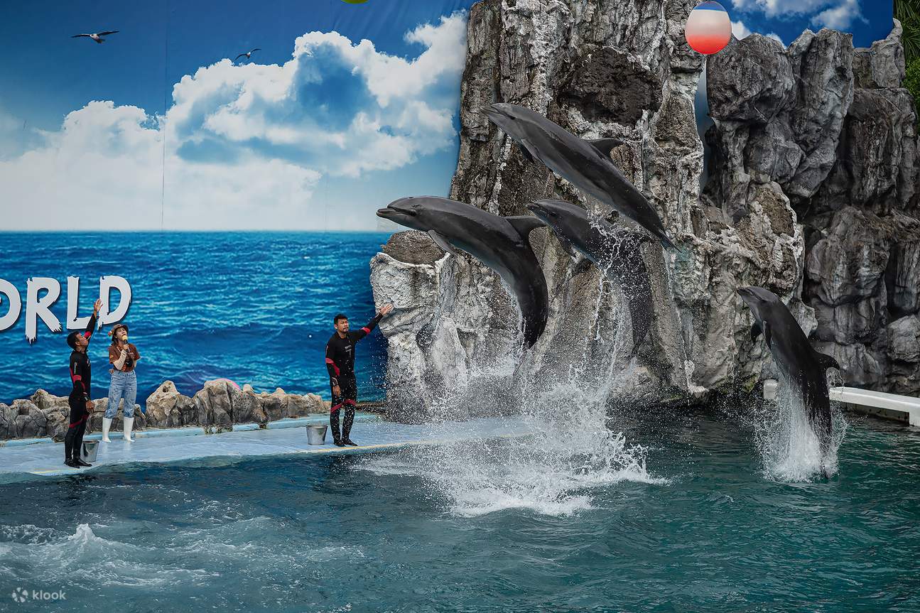 Buy Bangkok Safari World Tickets Online and Meet Exotic Animals - Klook