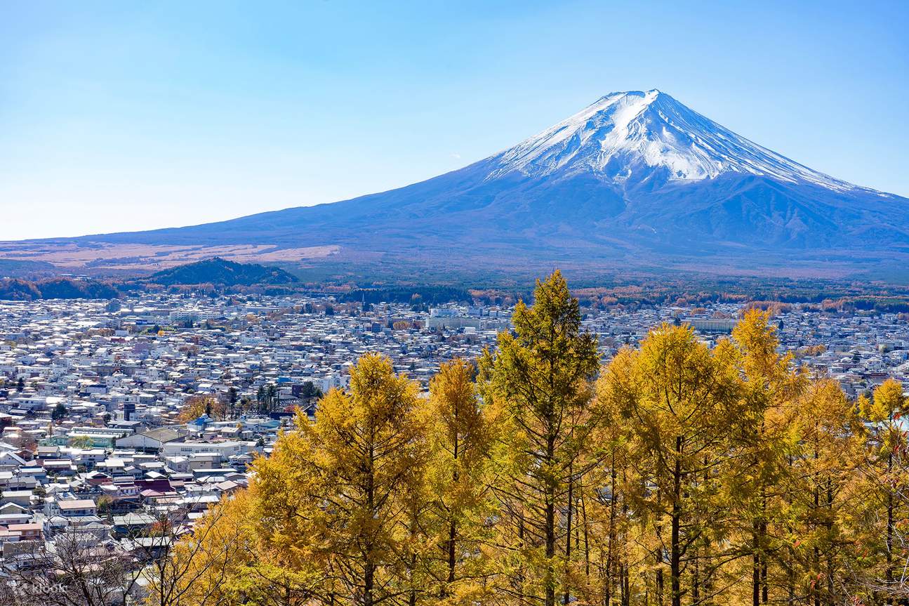 Tour panoramico diurno del Monte Fuji - Centro del patrimonio mondiale ...
