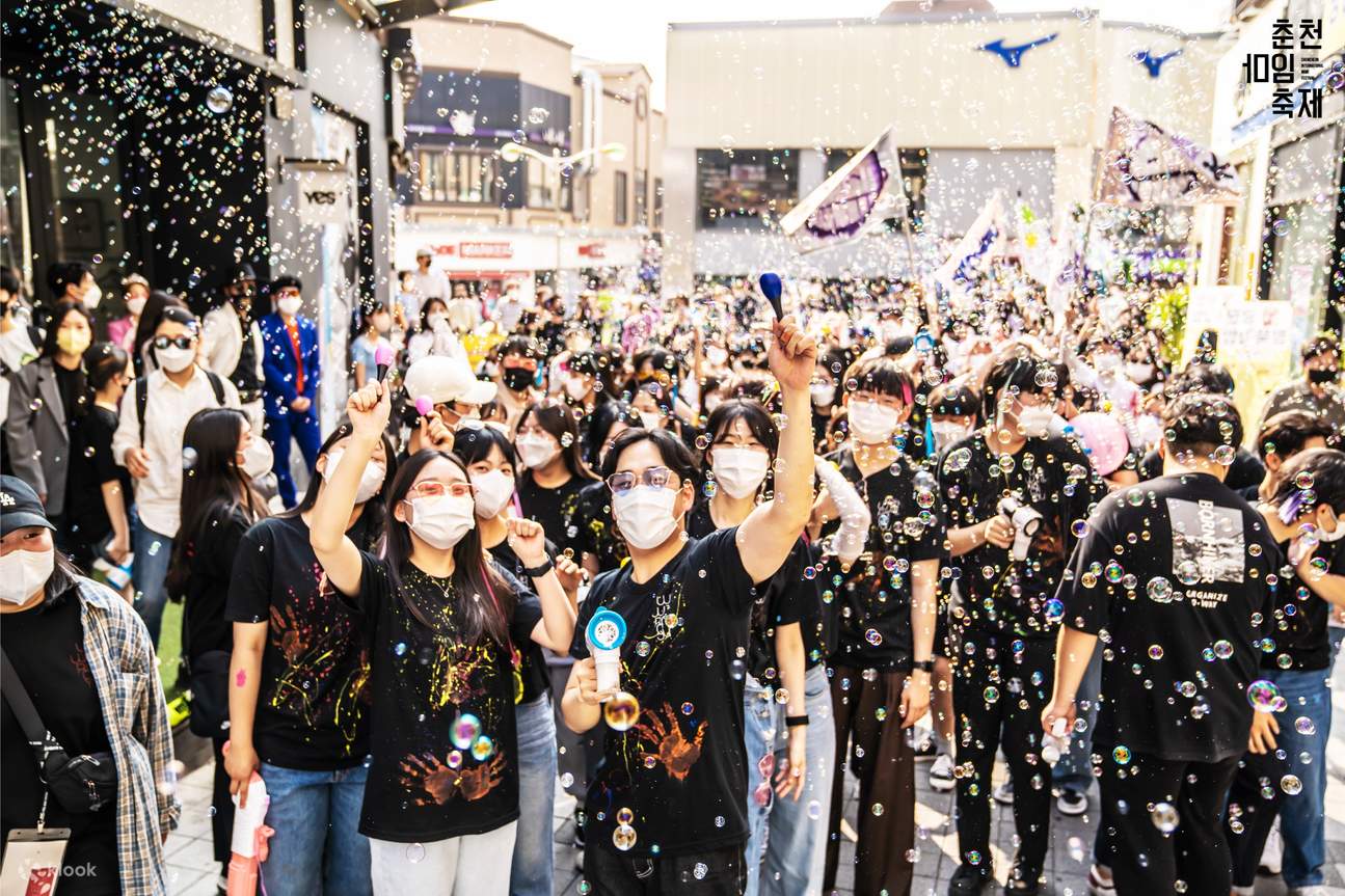 Eden Cherry Blossom & Nami Island & Alpaca World & Rail Bike Tour - Klook États-Unis