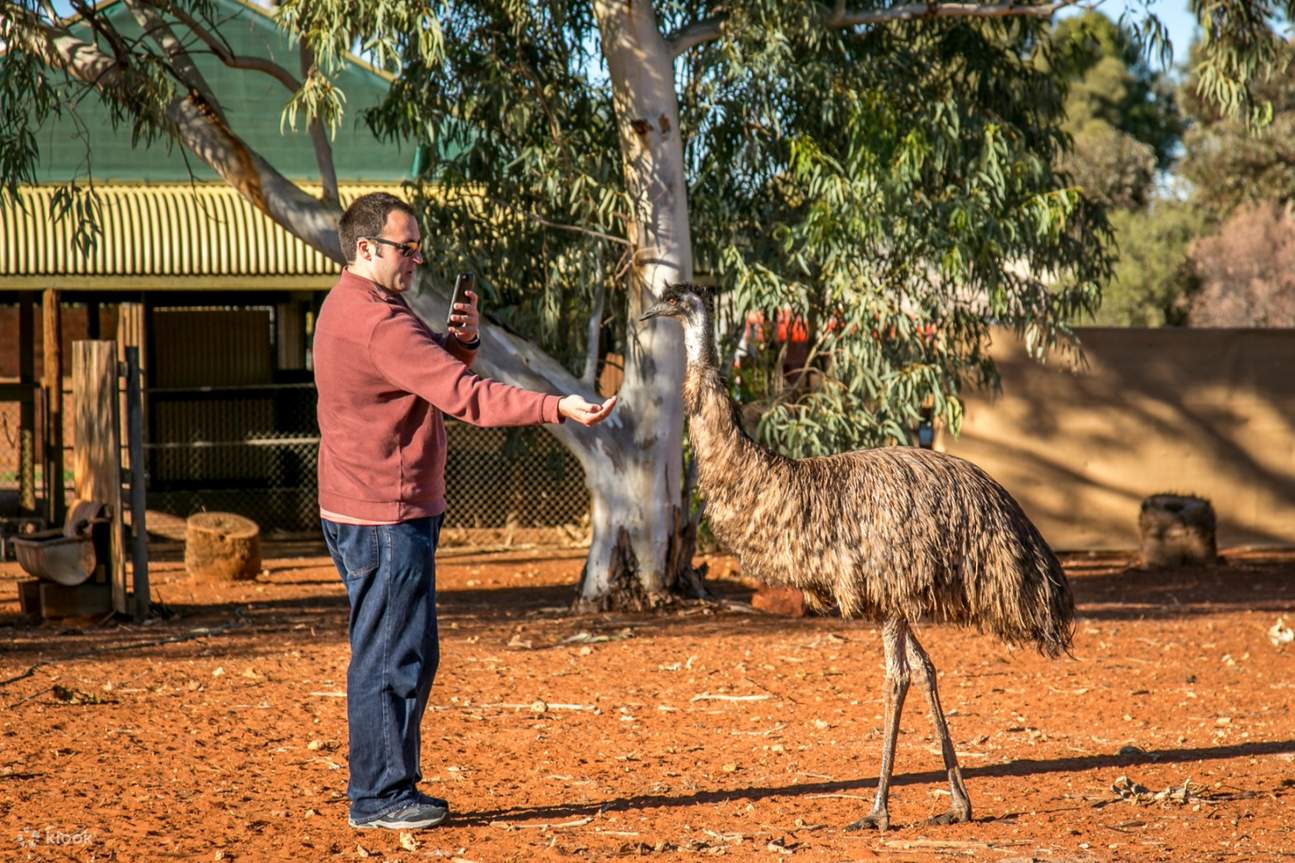 Uluru Day Tours - Klook Malaysia