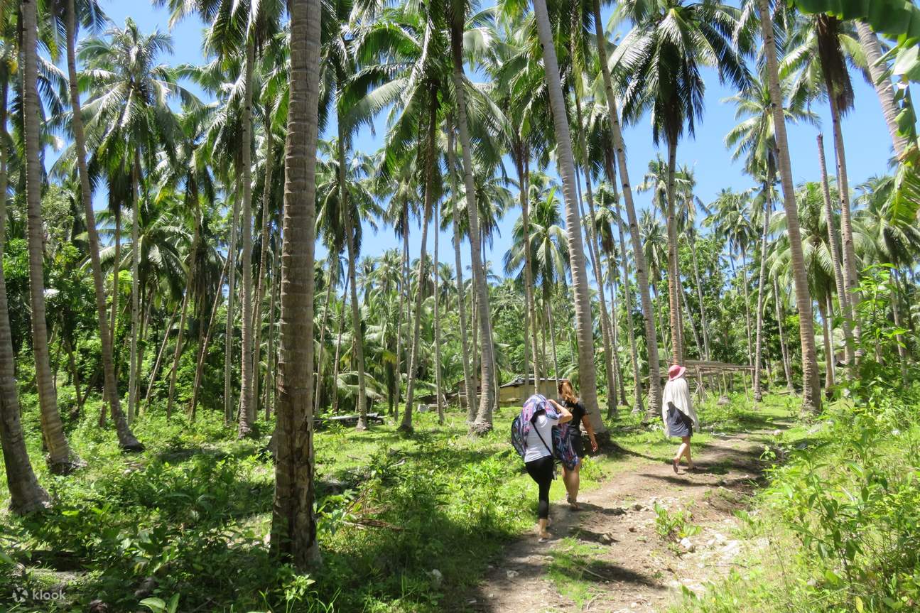 Caves, Falls & Scenic Landscapes: Anda Bohol Tour - Klook Philippines