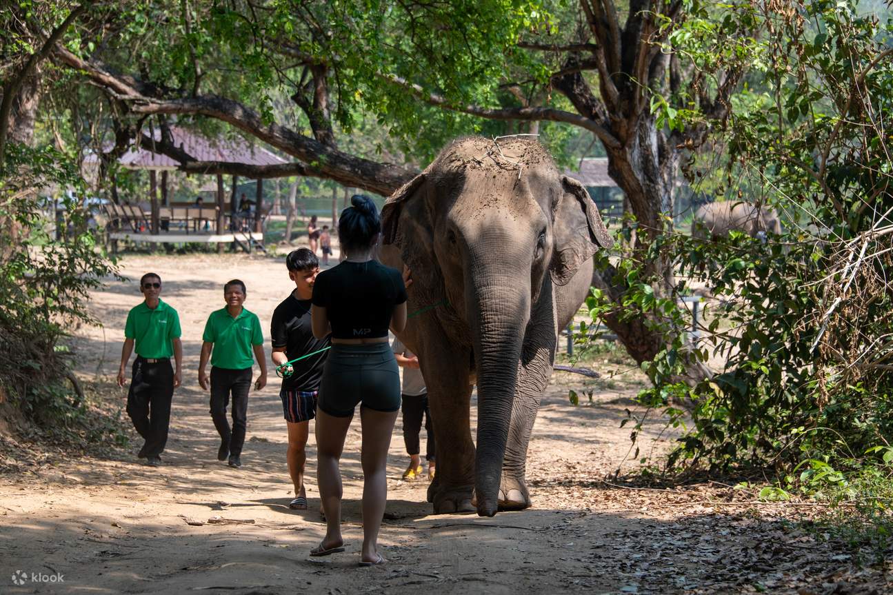 Elephant Sanctuary & Erawan Waterfall Tour from Bangkok – Full Day - Klook