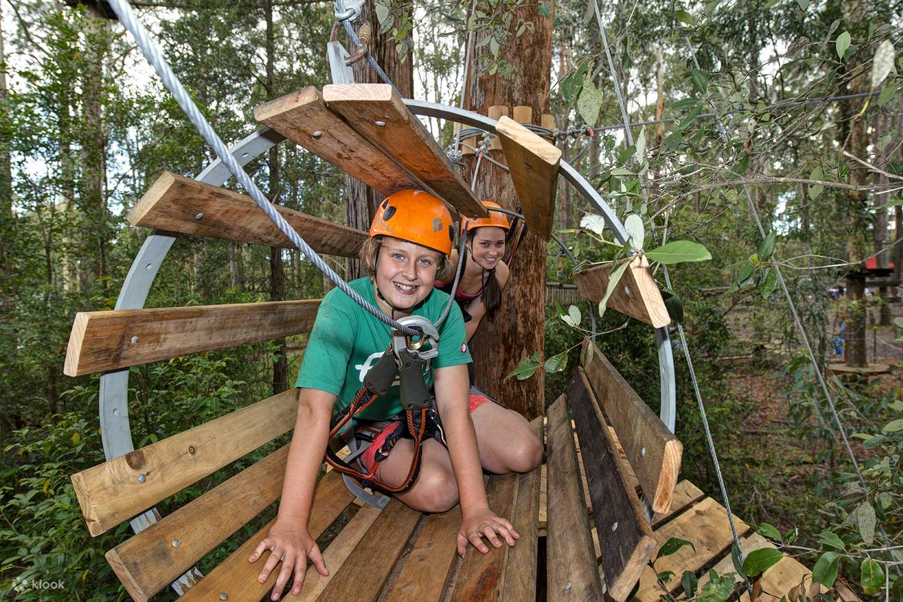 Ziplining in Pennant Hills - Klook