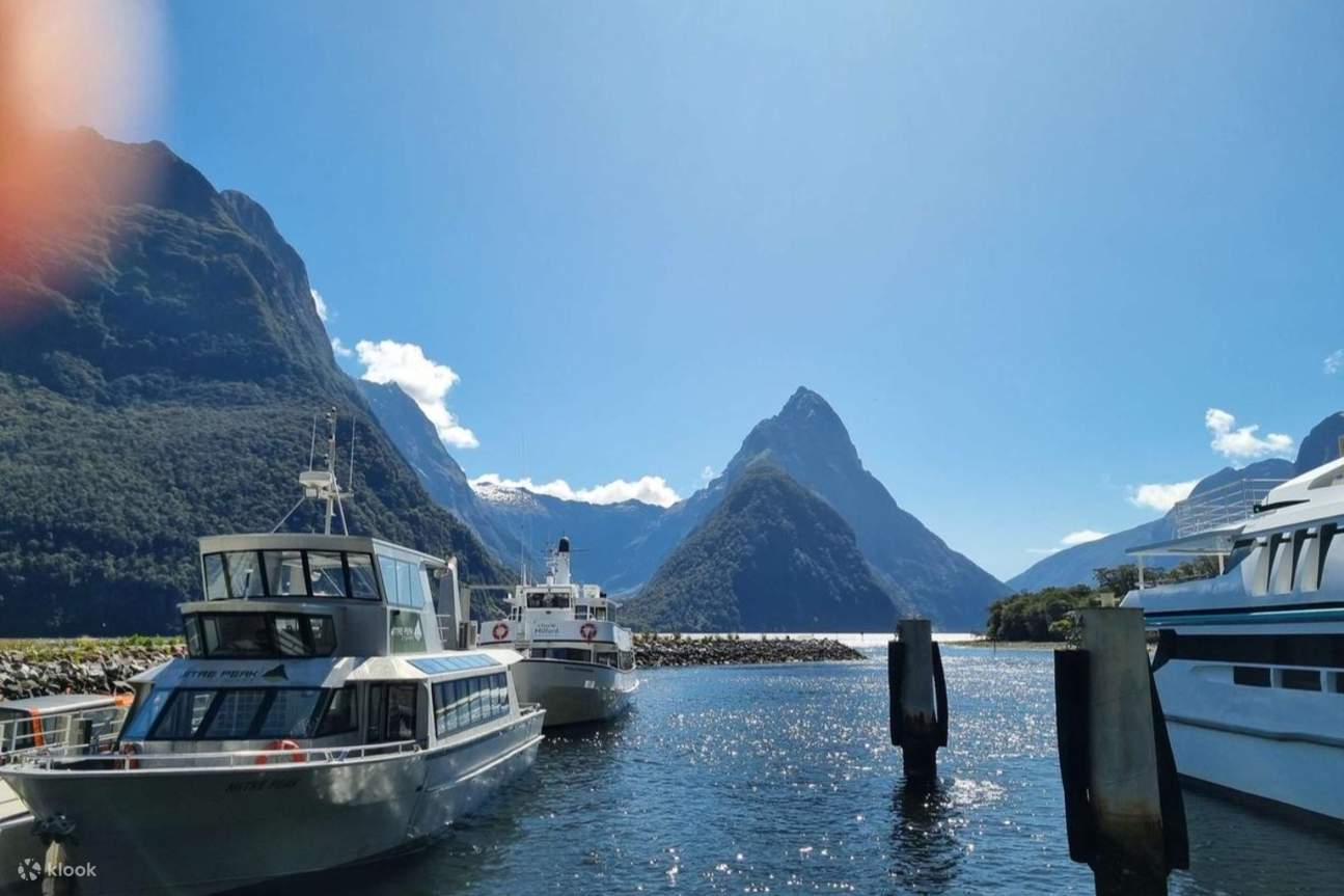 Premium Milford Sound Small Group Tour from Queenstown or Te Anau ...