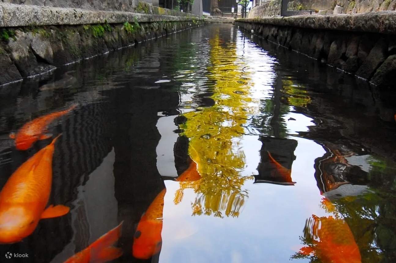 Hida Great Limestone Cave Private Day Car Tour from Hida - Klook