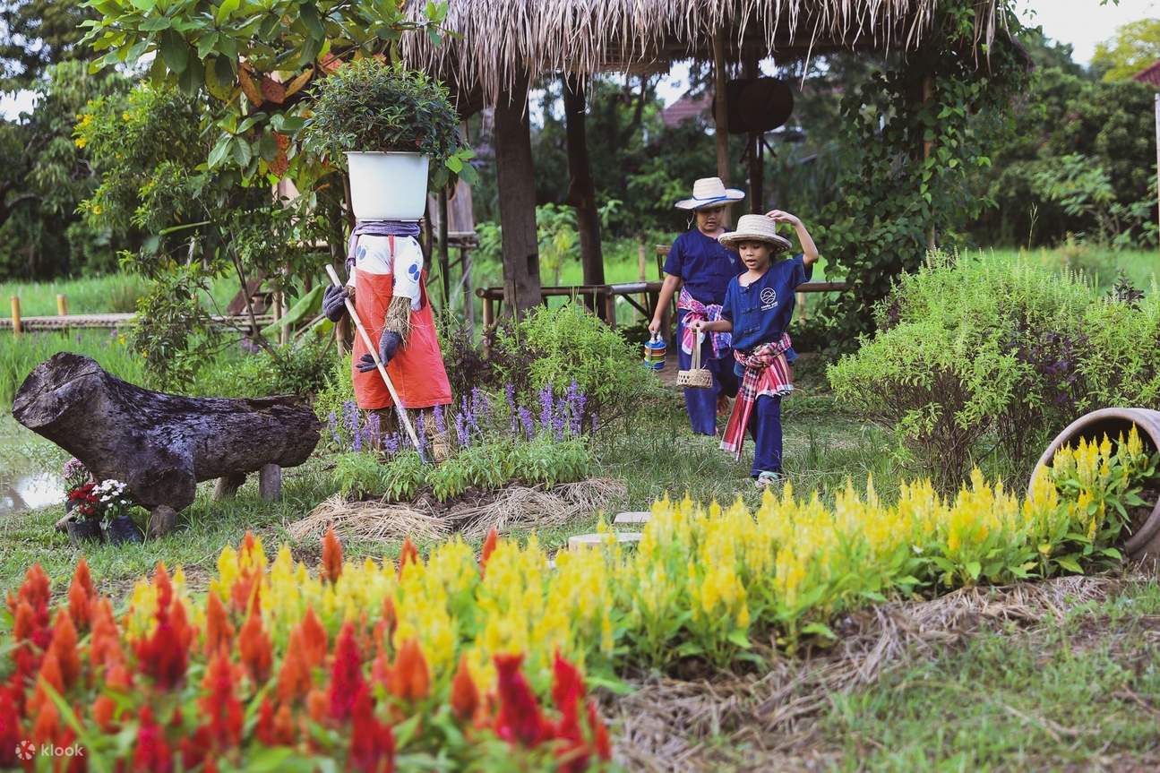 Join In Join Kid Junior Farmer Experience in Chiang Mai - Klook