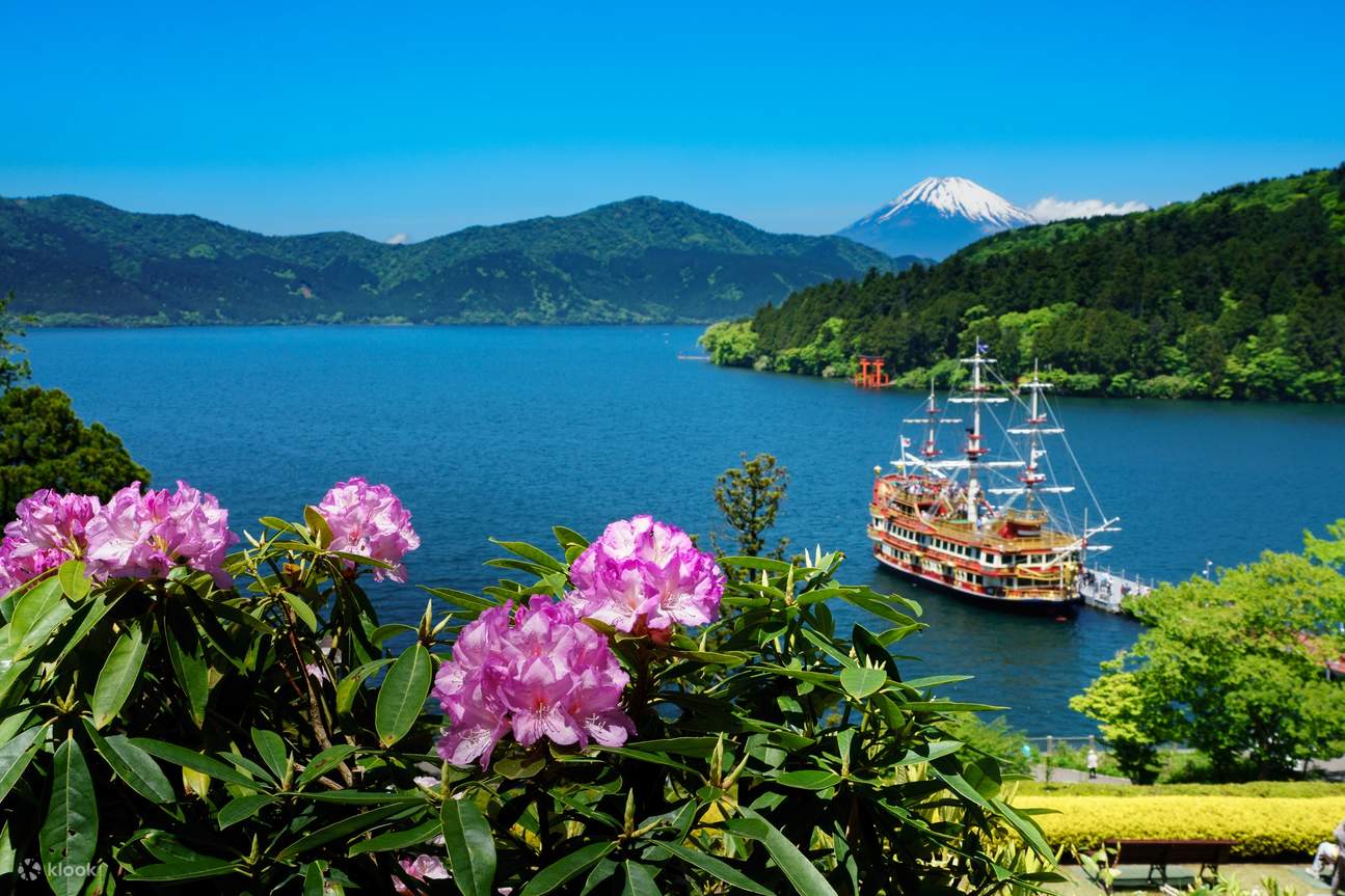 Hakone Hydrangea Train, Pirate Ship & Lunch at Hotel de Yama - Klook ...