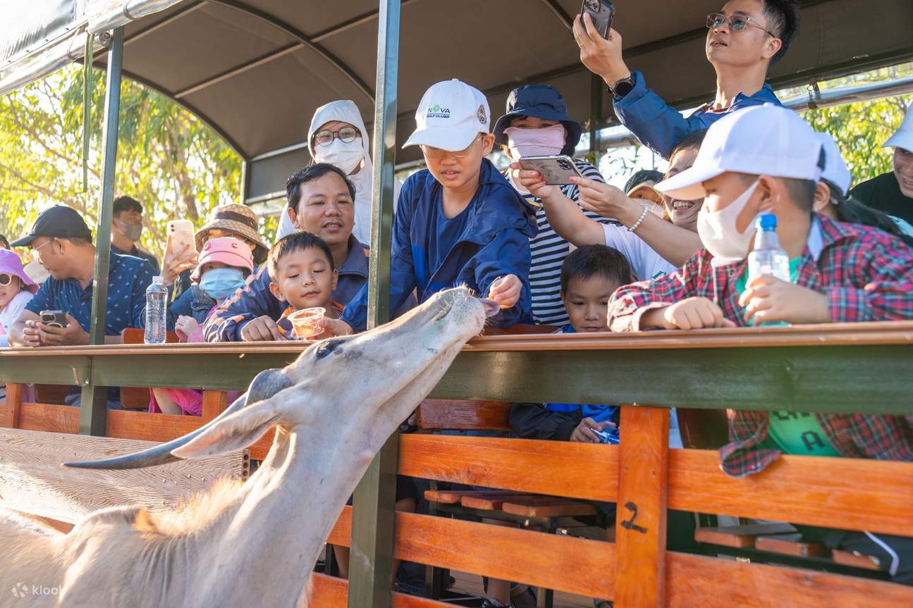 Vé Safari Cafe & Zoo Phan Thiết - Klook Việt Nam