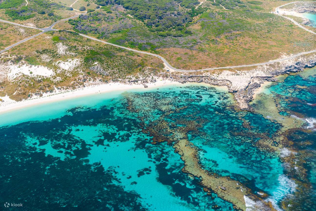 Flug mit dem Wasserflugzeug nach Rottnest Island - Klook, Vereinigte ...