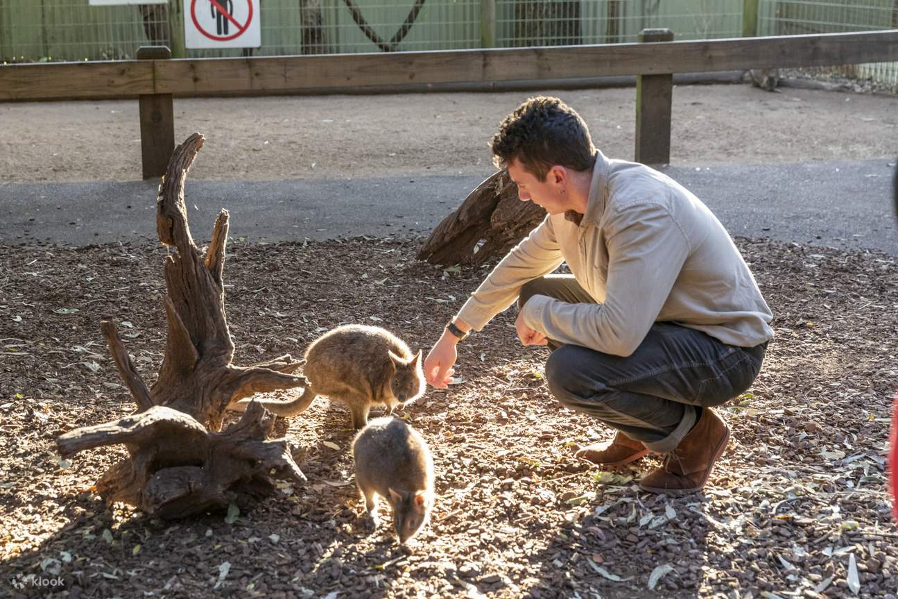 All-Inclusive Blue Mountains Tour dari Sydney - Klook Amerika Syarikat