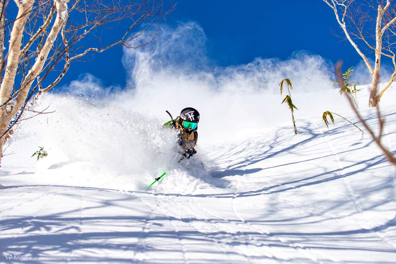 Mt. Fuji 2nd Station Yeti Snow Resort Snow Play/Skiing & Japanese Hot ...