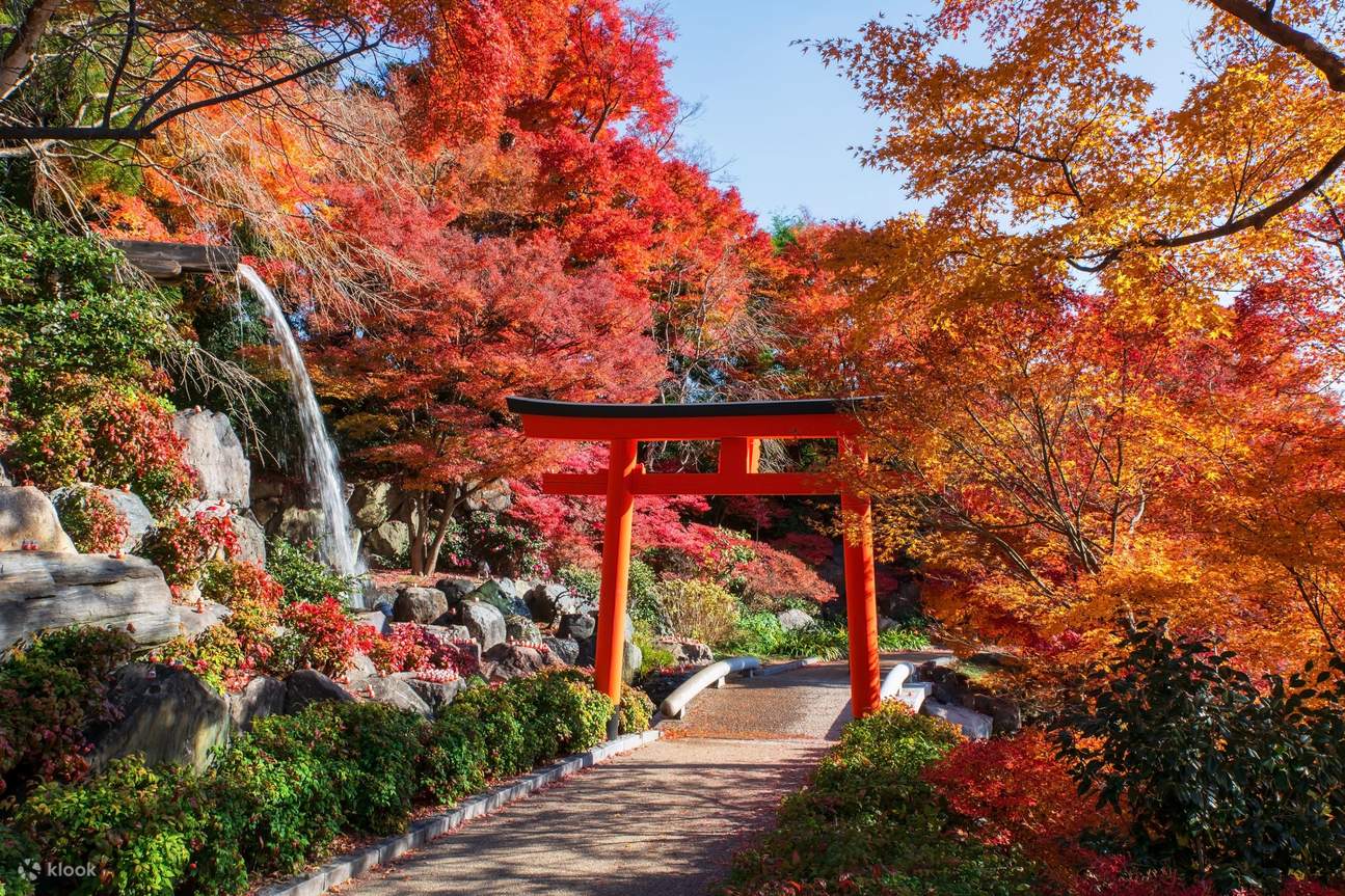 Autumn in Kyoto: Minoh, Sagano Train, Arashiyama & Kinkakuji - 클룩 Klook 한국