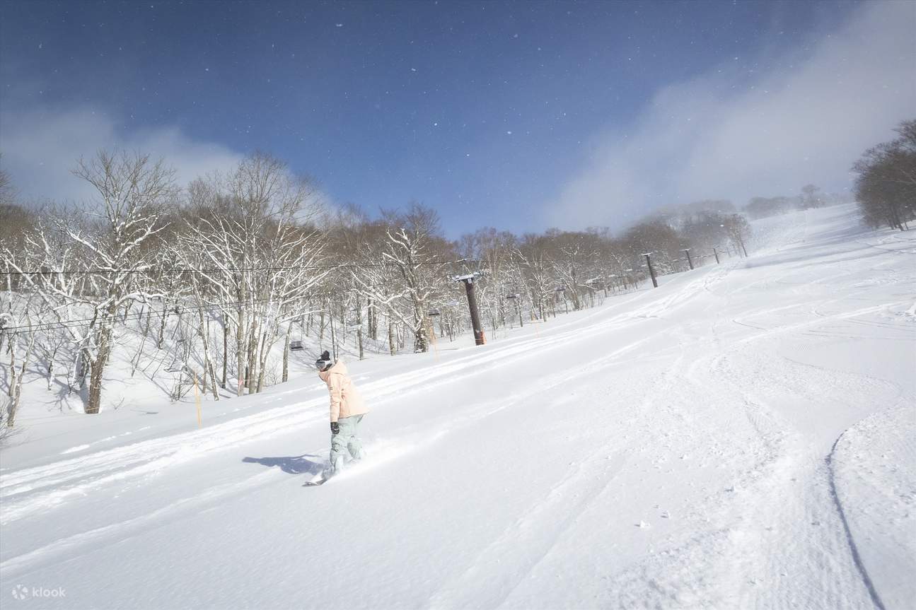 Tambara Ski Park Route Day Tour from Tokyo - Klook
