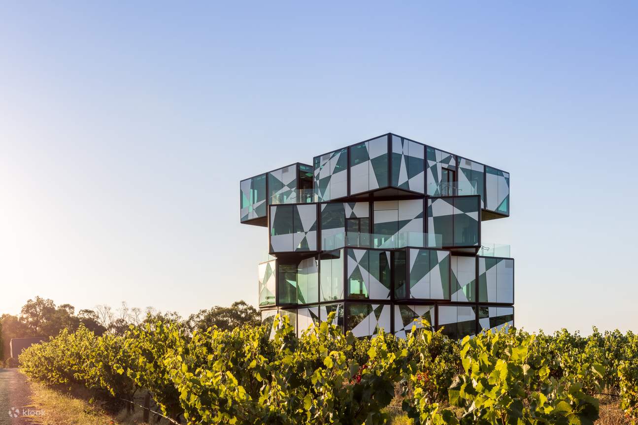 McLaren Vale and the Cube Experience Tour from Adelaide - Klook India
