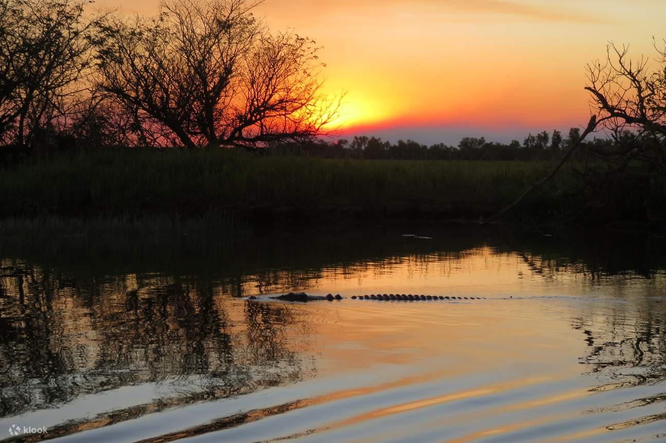 Sunset Wetland 2-Hour Cruise in Darwin - Klook