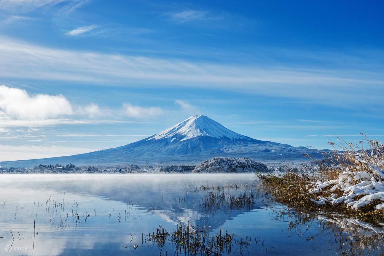 Gita di un giorno al Monte Fuji con splendide viste (partenza da Tokyo ...